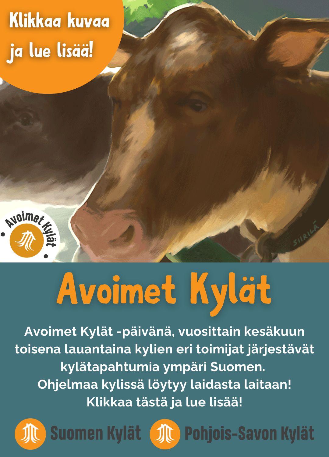 Avoimet Kylät/Joulukylät - Pohjois-Savon Kylät ry